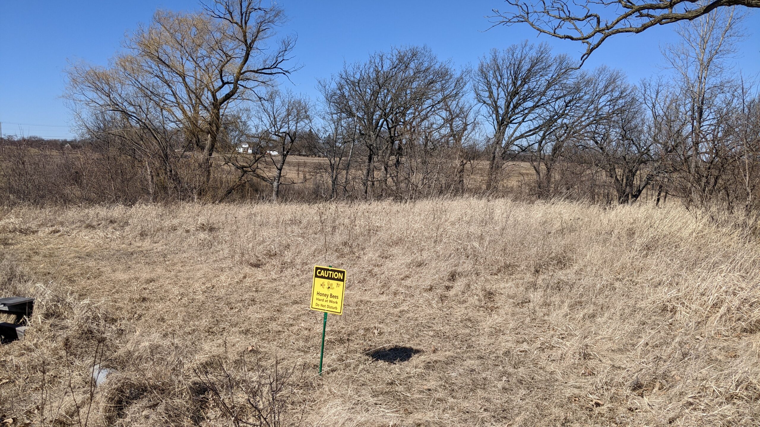 PXL_20220313_191844471.MP | Milwaukee Waukesha Beekeepers Association