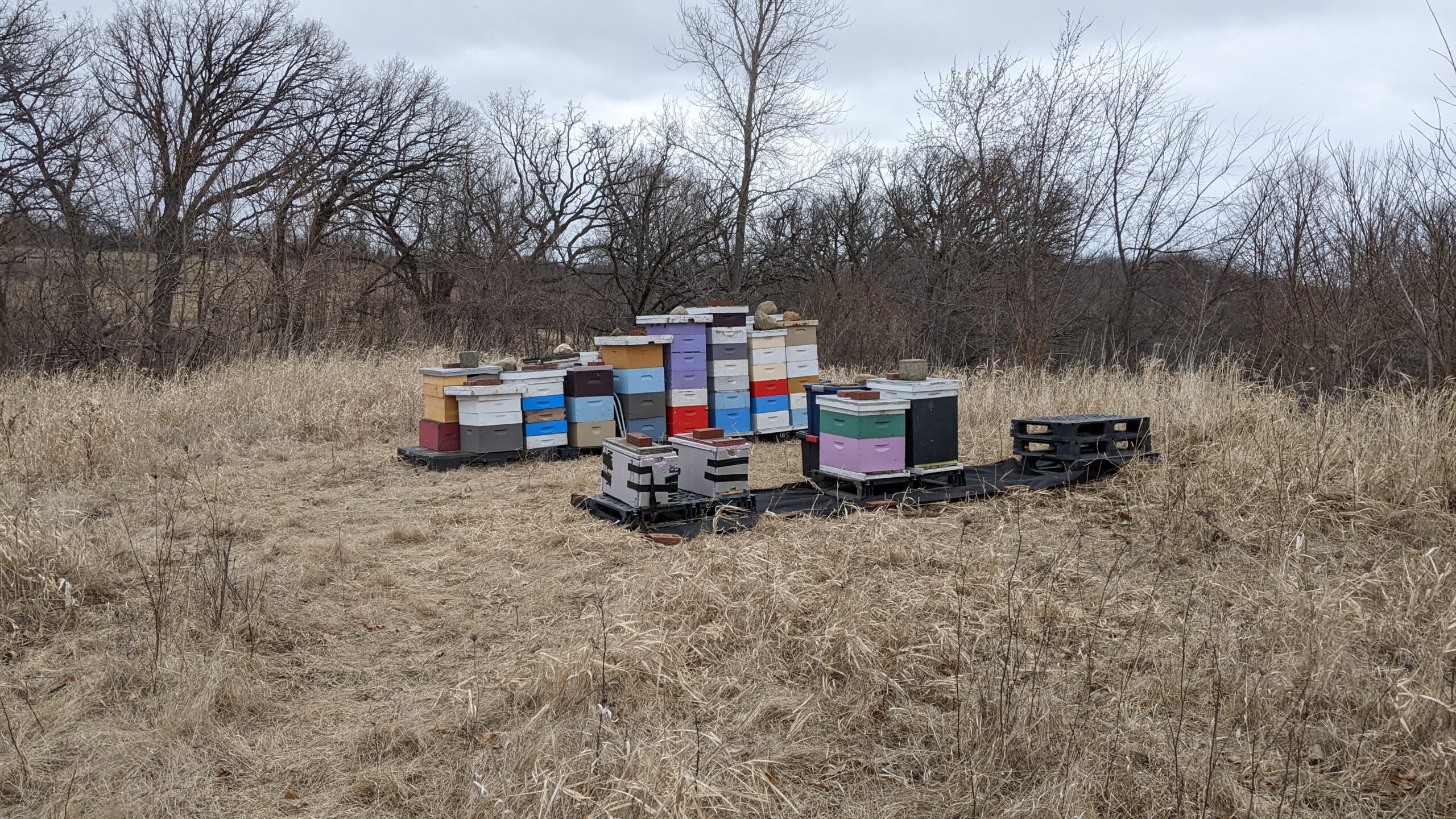 PXL_20220326_152128910 | Milwaukee Waukesha Beekeepers Association
