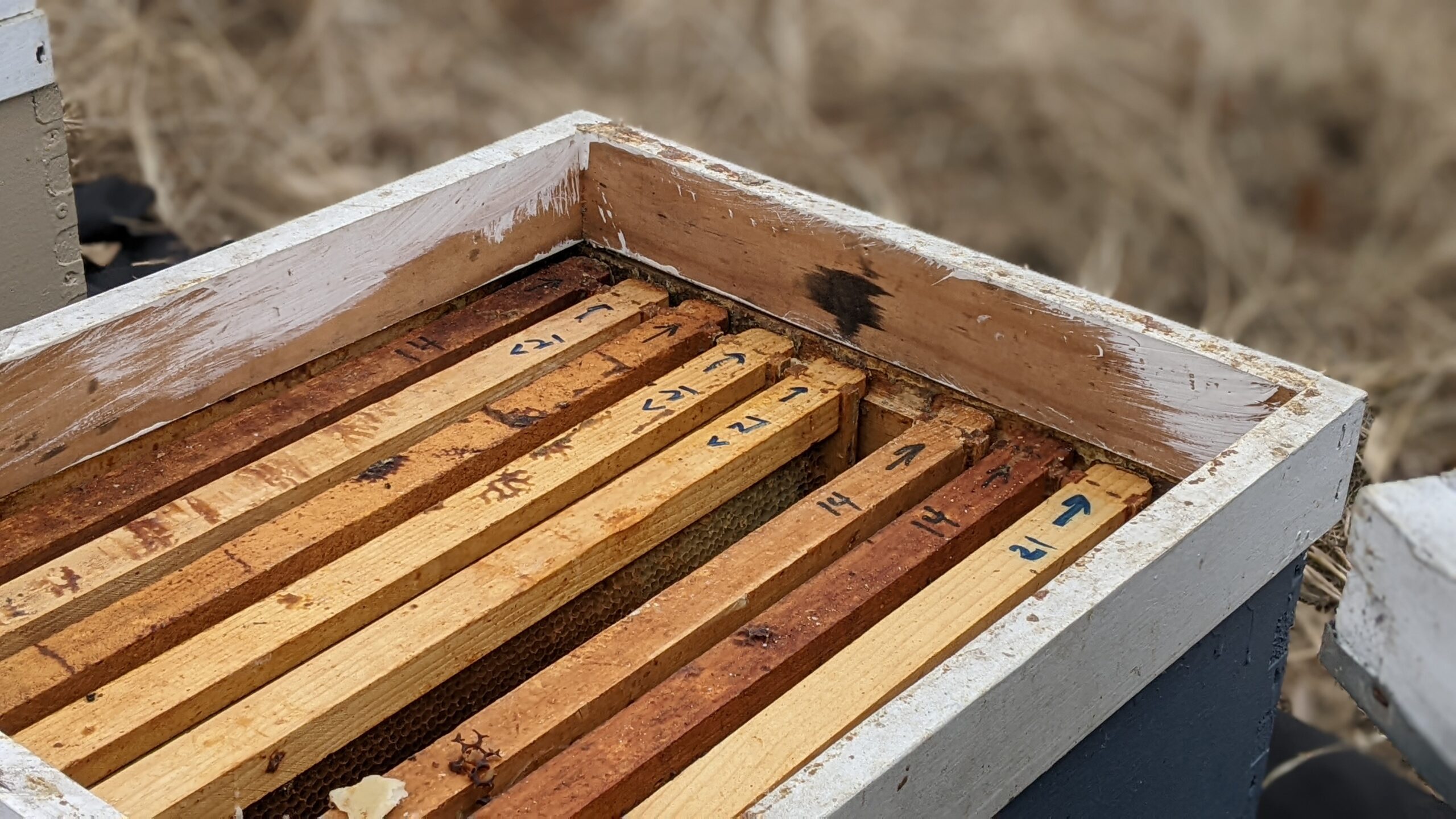 PXL_20220326_212351643.PORTRAIT | Milwaukee Waukesha Beekeepers Association