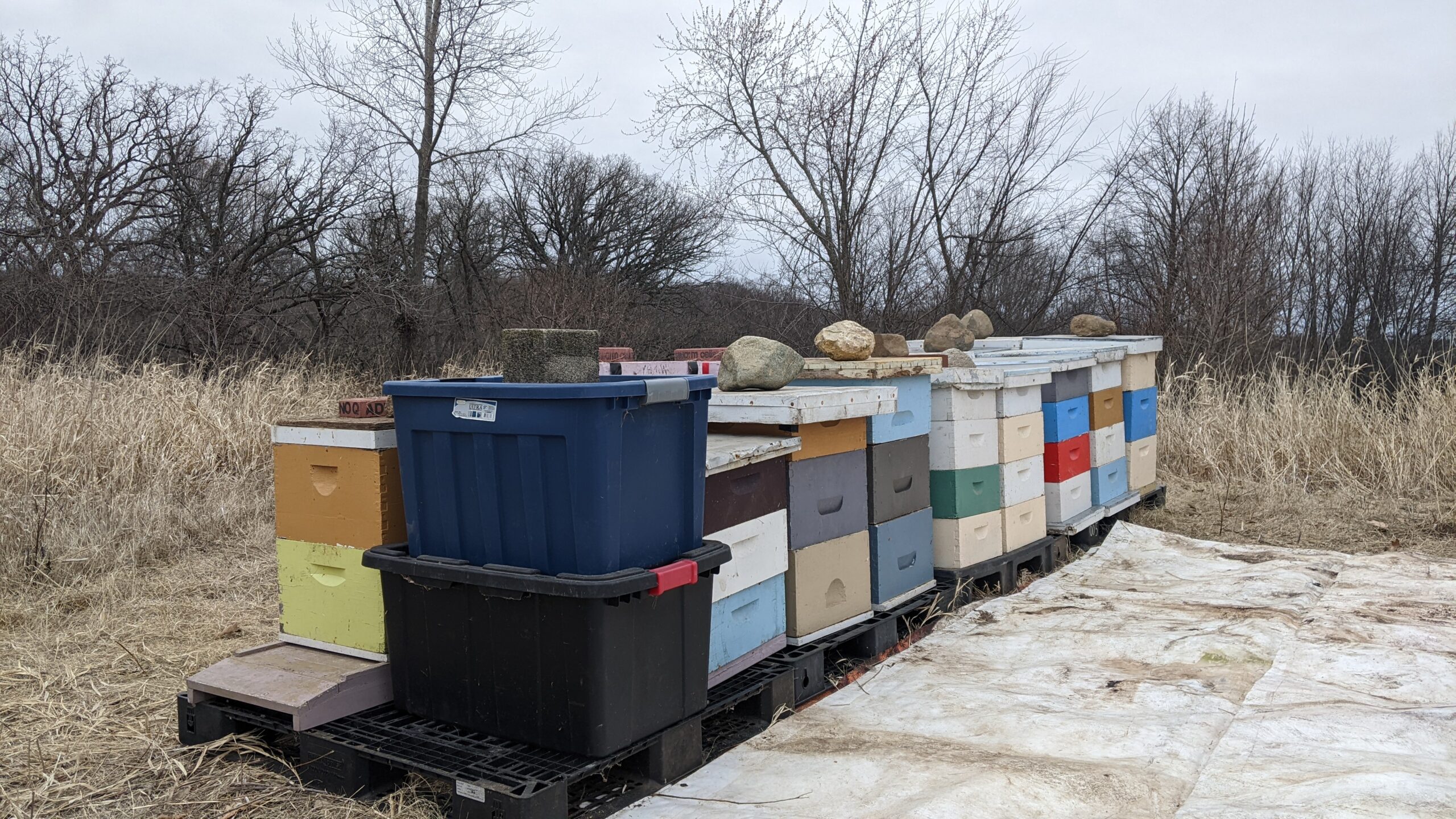 PXL_20220326_213737292.MP | Milwaukee Waukesha Beekeepers Association